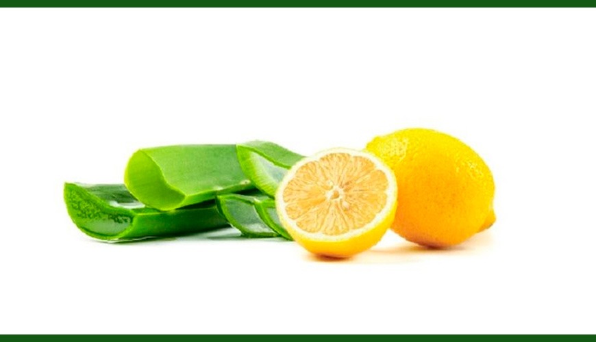 Aloe vera para el pelo: beneficios y consejos | Penca Zábila